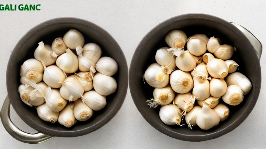 garlic made in china made from China