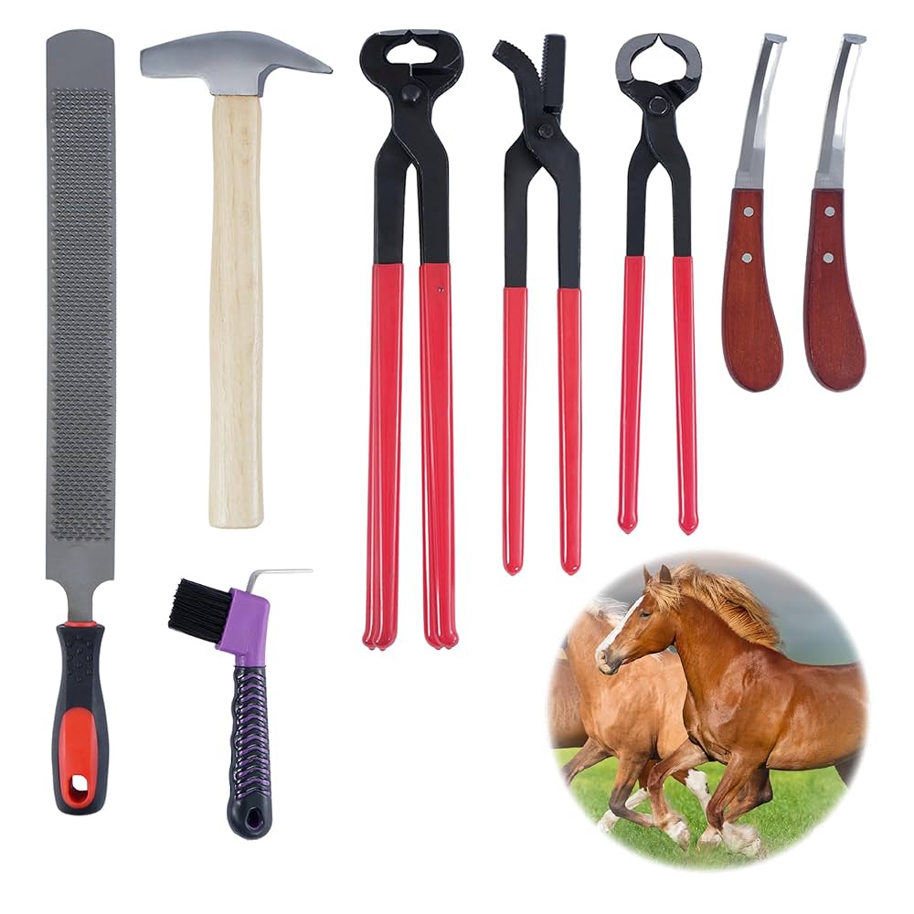 Wholesale Farrier Supplies Guide: An Expert Review of Top 6 Suppliers