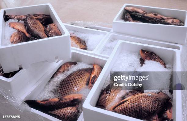 The Ultimate Guide to Sourcing Fish Wholesale: Top 9 Companies Revi...