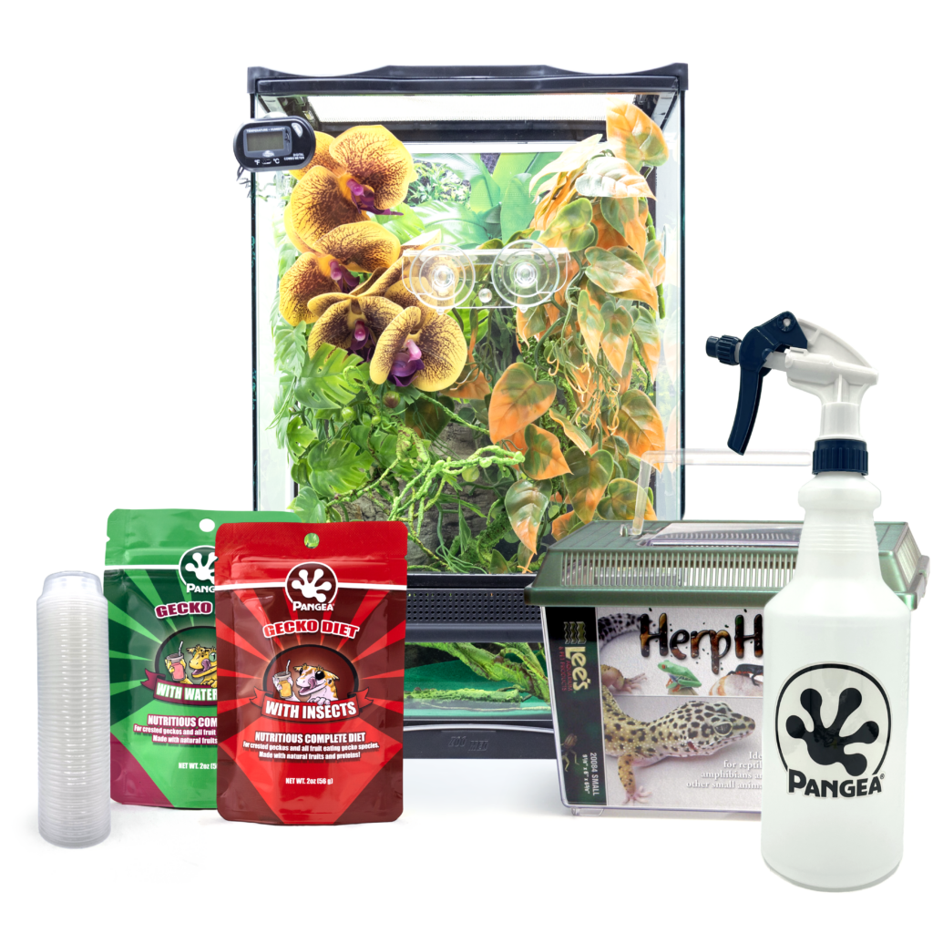 The Ultimate Guide to Sourcing Reptile Supplies: Top 6 Companies Re...