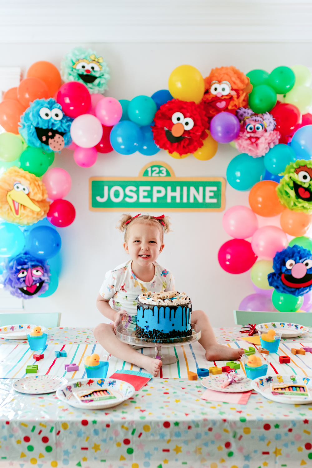 Top 7 Sesame Street Birthday Supplies Manufacturers & Suppliers (20...