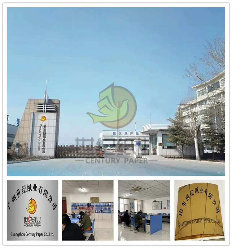 Top 7 A4 Paper In China Manufacturers (2026 Audit Report)