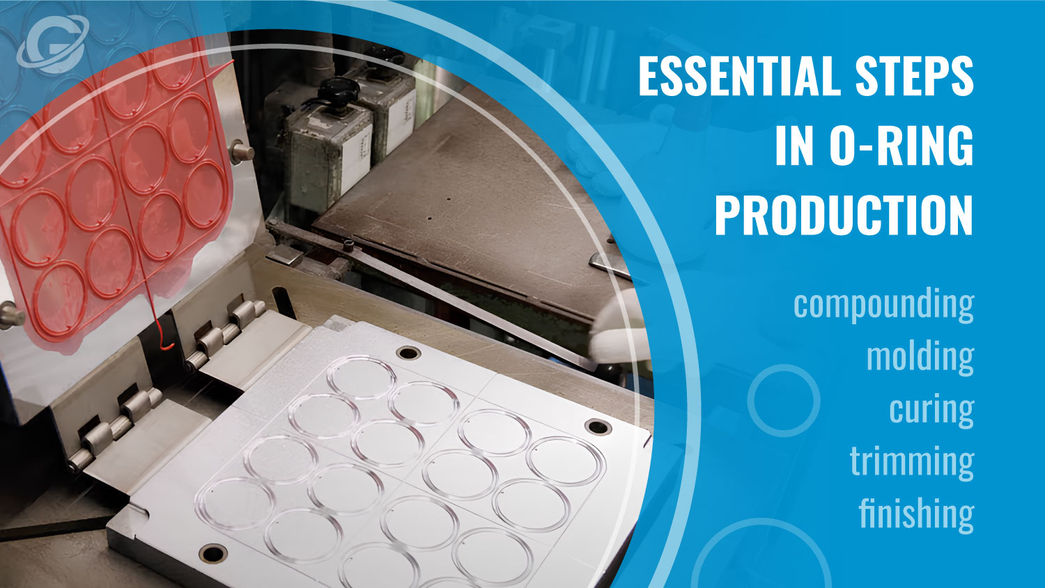 Top 9 O Ring Manufacturers (2026 Audit Report)