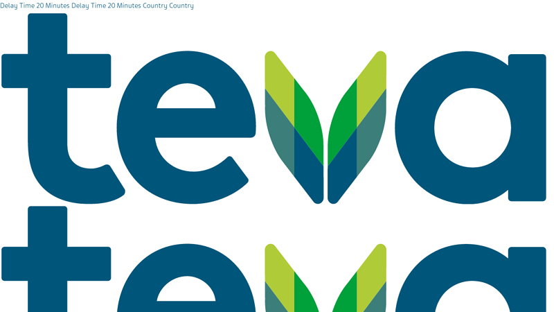 Top 4 Teva Manufacturers (2026 Audit Report)