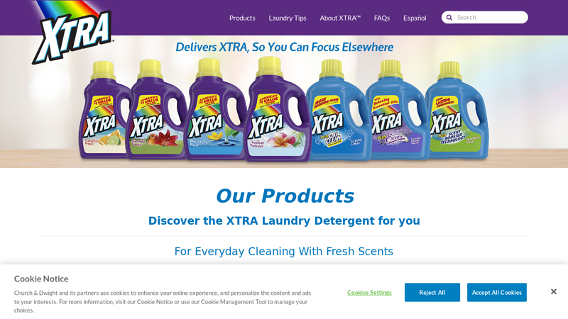 Top 10 Laundry Soap Manufacturers (2026 Audit Report)